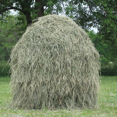 Stream 2. Poem 'Haystacker'' (1) by Charles Entrekin | Listen online ...