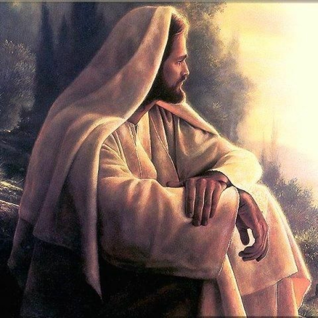 Stream terry | Listen to T#taranim playlist online for free on SoundCloud