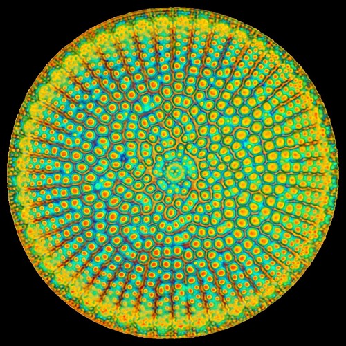 Stream Trio Mythoi: Buorre Beaivi by Skyelof | Listen online for free ...