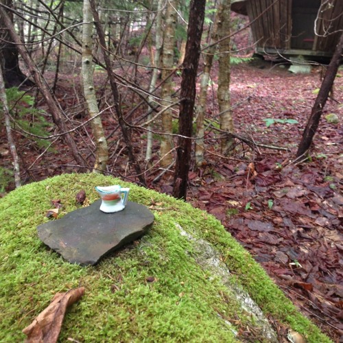 Stream Croc Of The Foot (demo) by Cody Kramer | Listen online for free ...