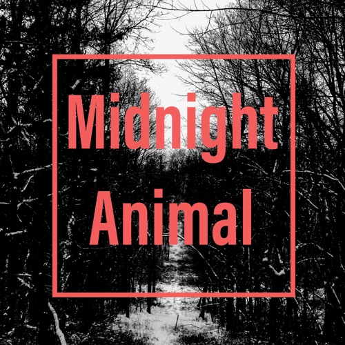 Stream Stamoulo | Listen to Midnight Animal playlist online for free on ...