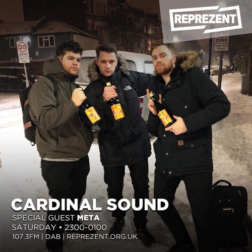 Stream Guestmix for Cardinal Sound // Reprezent by Meta | Listen online ...