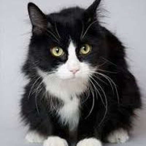 Stream faith hayes ( always love god) | Listen to baby playlist online ...