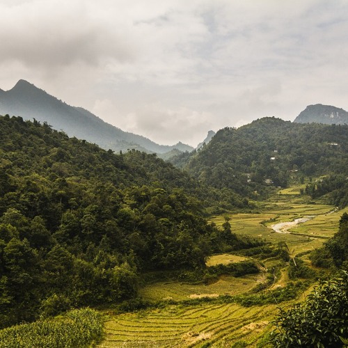 Stream Togo Sokode by Gerard Vierbergen | Listen online for free on ...