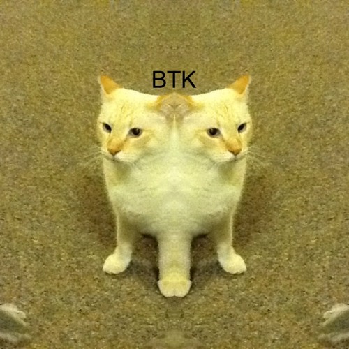 Stream BTK /// Sugar Hill Gang Cover by Big Time Kitty | Listen online ...