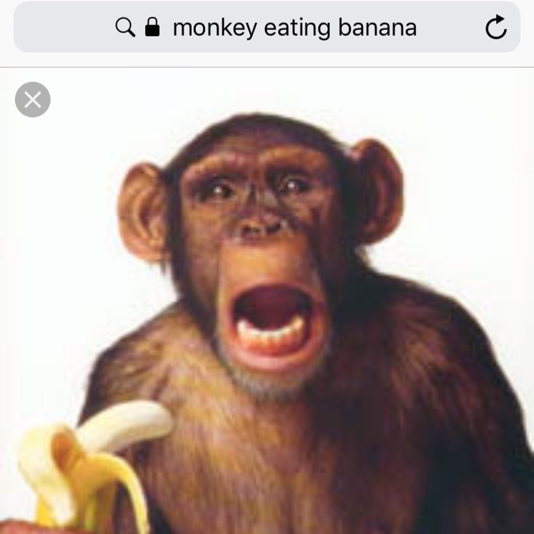 Stream What Does My House Look Like by Benjamin Krussow | Listen online ...