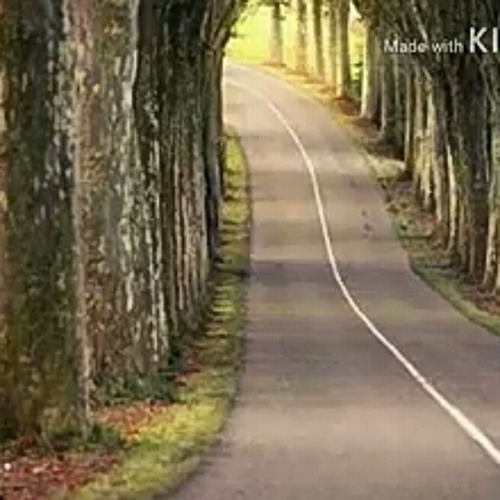 Stream Danish rashid khowar song by User 588148143 | Listen online for ...