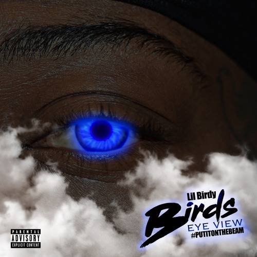 Stream Lil Birdy | Listen to Birds Eye View playlist online for free on ...
