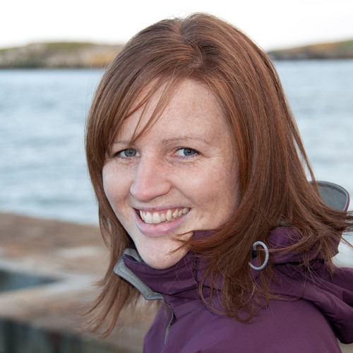 Stream Dr Anna Ryan On The 'Into The West - Rineanna And The Jumbo Jet' Talk by Clare FM ...