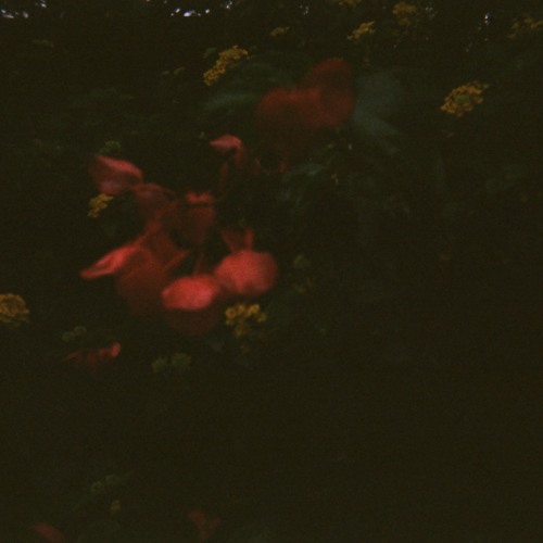 Jaron Steele - Free music on ToneDen