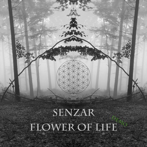 Stream Senzar - Flower Of Life (demo) by senzar | Listen online for ...