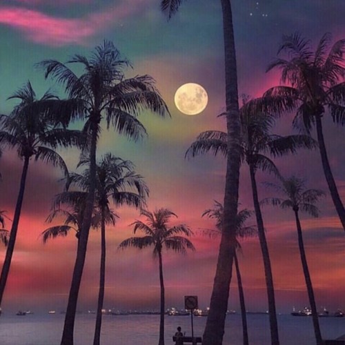 Stream New Year’$ Day by Kat Snip | Listen online for free on SoundCloud