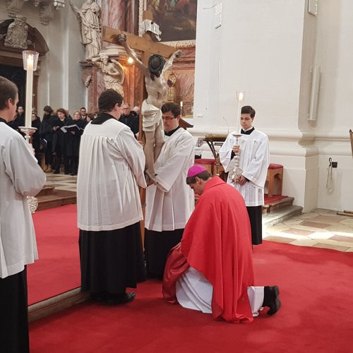 Stream Vertrauen-lernen – Predigt von Bischof Oster zum Karfreitag 2018 ...