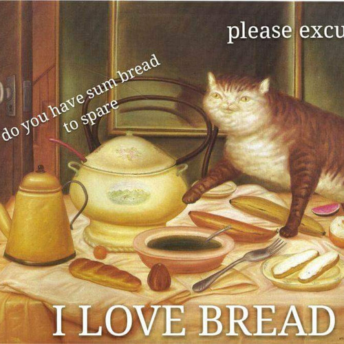 Stream Donk Cat by Bellend Sebastian | Listen online for free on SoundCloud