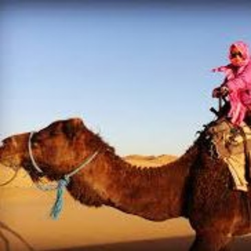 Stream 05 Ride The Camel by Steve Hunter 4 | Listen online for free on ...