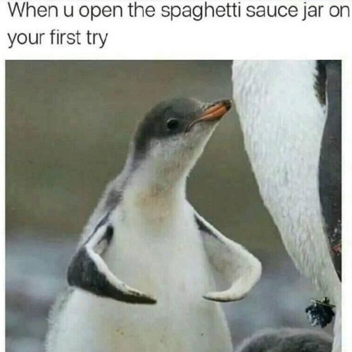 Stream episode Aware Front Porch Step (vocal Cover) by Shadow blitz ...