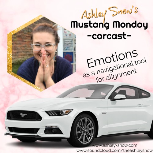 Stream Emotions as a Navigational Tool: Mustang Monday Carcast with ...