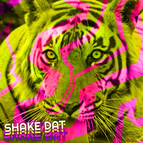 Stream Shake Dat (original) by TIGRESS | Listen online for free on ...