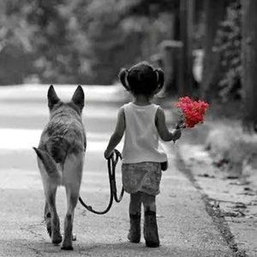 Stream ELOGIO DE UNA MUJER BRAVA. by VOICE ARTIST / ANDRÉS TORO ...