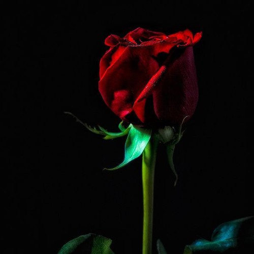 Stream episode EP 2: The First Ever Black Bachelorette by Where the ...