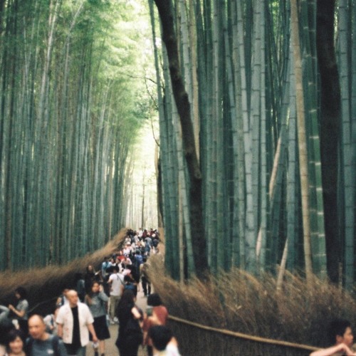 Stream Lemongrass by Ben Auld | Listen online for free on SoundCloud