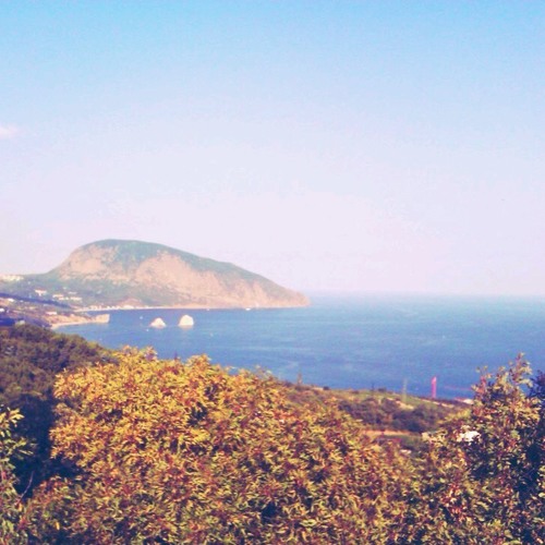 Stream Welcome (demo) by Alex Che | Listen online for free on SoundCloud