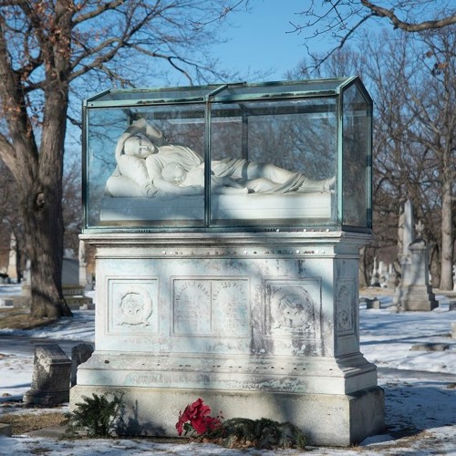 Stream The Arts Section: New Book Captures Beauty Within Chicago-area ...