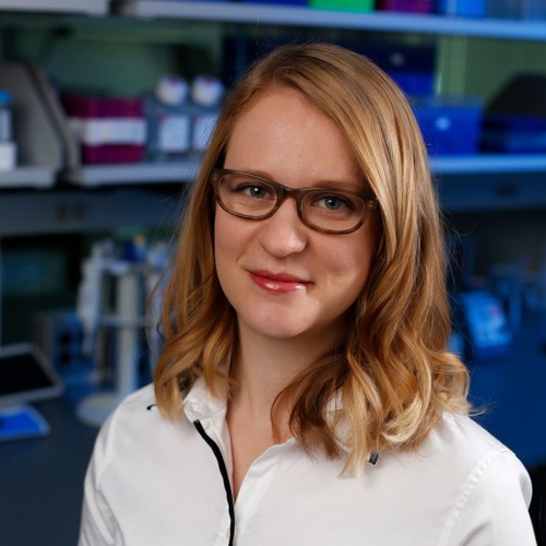Stream episode Episode 6: Mom-To-Be Makes Ovarian Cancer Discovery by ...