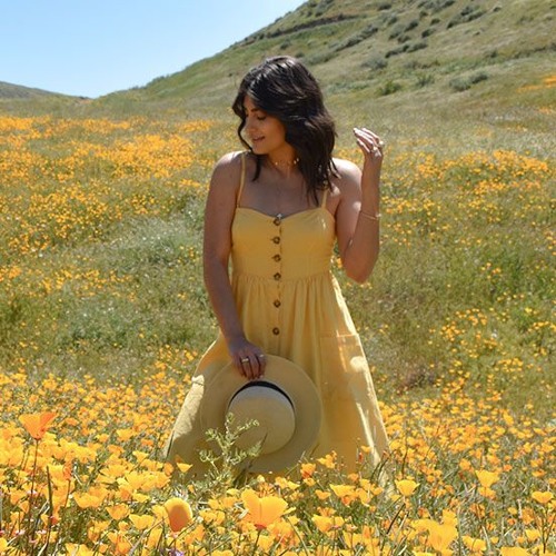 Stream Silent Partner - Spring In My Step by RoastChicken4Dinner ...