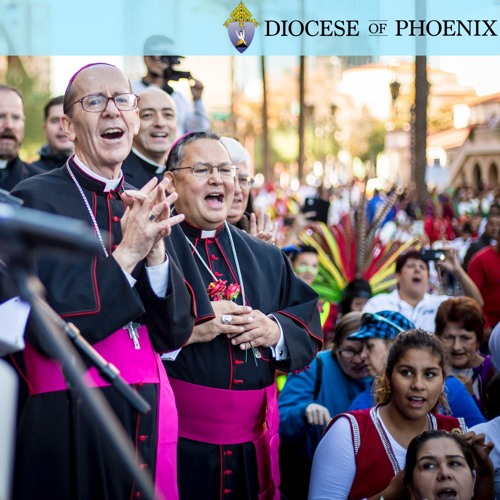 Stream Fr. Lankeit's Homily for April 15, 2018 by Phoenix Diocese ...