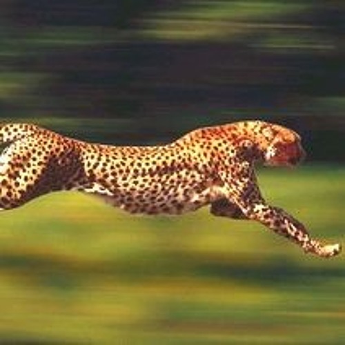 Stream CHOICES FOR TOMORROW by Didier Goret | Listen online for free on ...