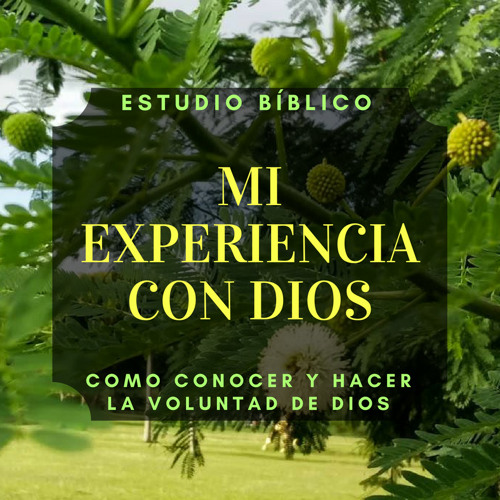 Stream 1-3 Jesús es tu Modelo [Mi Experiencia con Dios] (creado con ...