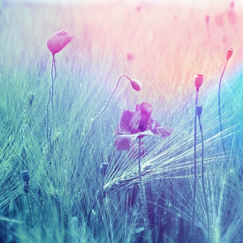 Stream Wild Party by DJ Spyroof | Listen online for free on SoundCloud