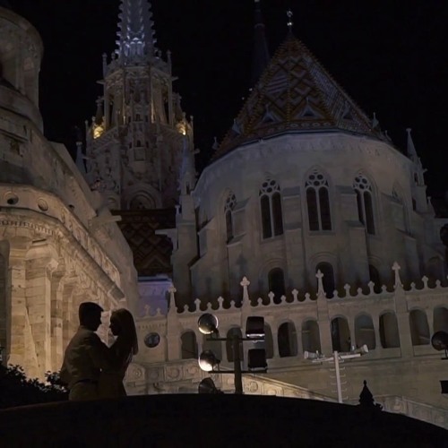 Stream Wayne Scott-Fox - Night Lover by Wayne Scott-Fox | Listen online ...