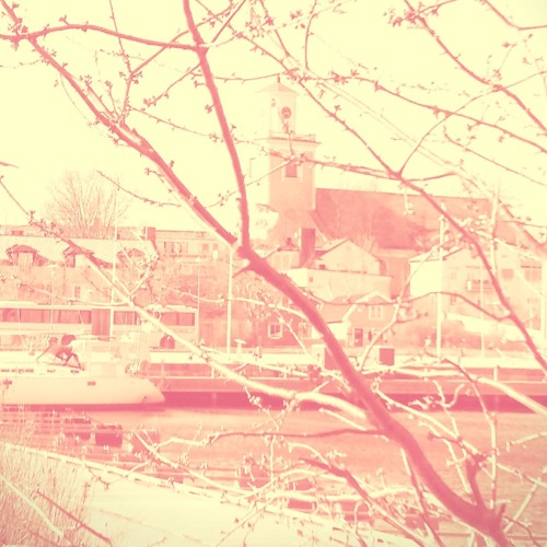 Stream Everything Is Coming Up Roses (Feat. Eric Muir) by Tim Mattsing ...