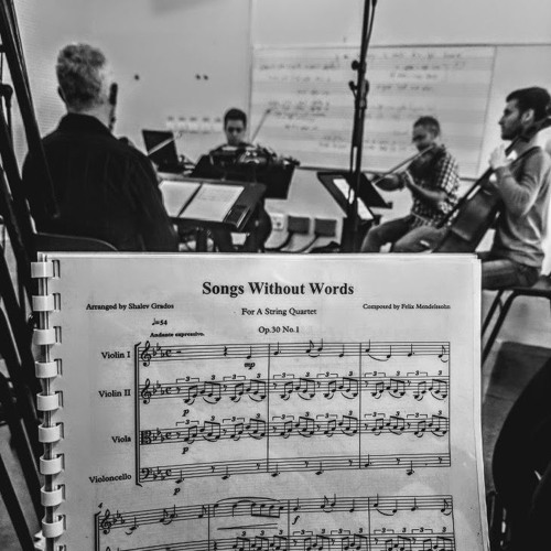 Stream Mendelssohn - Songs Without Words / Op.30 No.1 (String ...