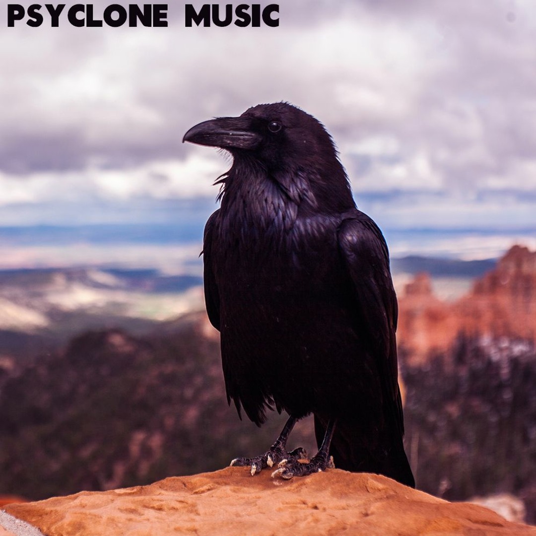Stream Psyclone - Kaakkaa Muttai (South Indian Trance Mix) by Psyclone ...