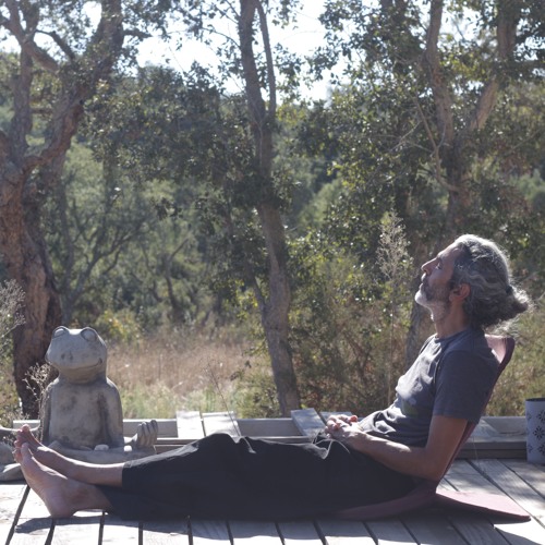 Stream Guided Meditation by Shai Dayan | Listen online for free on ...