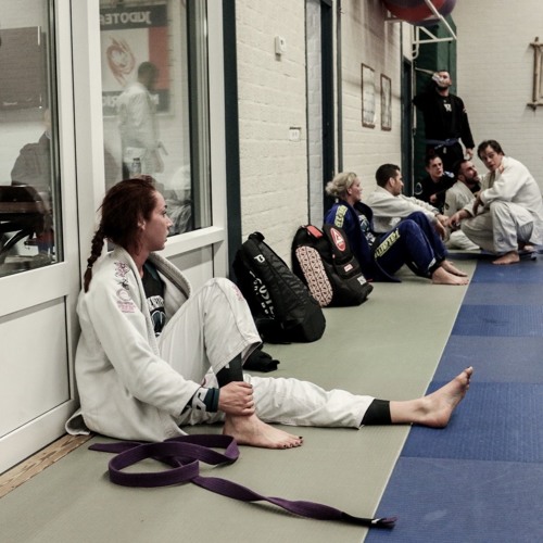 Stream Lisa Salet | Listen to Vrouwen vechten voor respect playlist ...