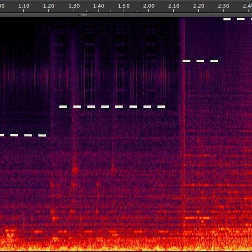 Stream Micro Montage by Sadaf Amini | Listen online for free on SoundCloud