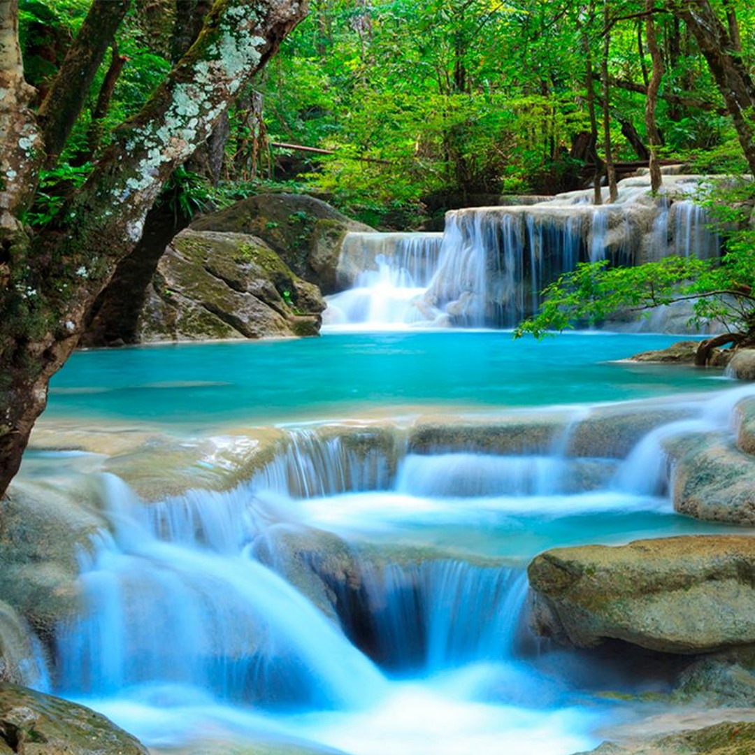 Stream Relaxing Music for Stress Relief. Calm Music for Sleep ...