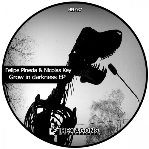 Stream Felipe Pineda, Nicolas key - Grow in darkness (Original Mix) by ...