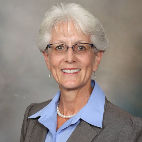 Stream Audio Insights: Leveraging the Laboratory Conference Overview ...