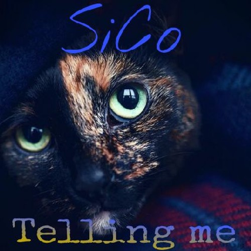 Stream SiCo-Telling me by SiCo | Listen online for free on SoundCloud