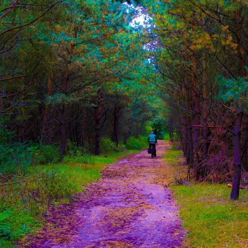 Stream Mr Mangle - im feeling high by Mr Mangle | Listen online for ...