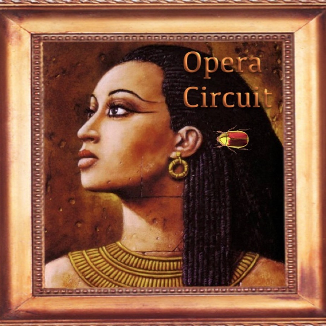 Stream Opera Circuit (Paploviante & Lillithe) by Lillithe | Listen ...