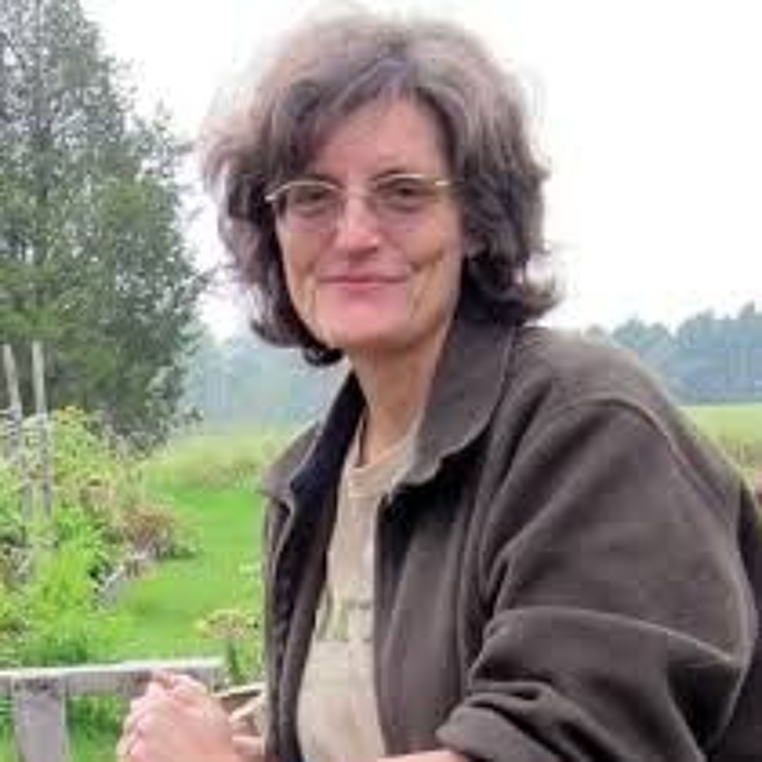 Stream Get Your Soil Questions Answered By Elaine Ingham by Wayne ...