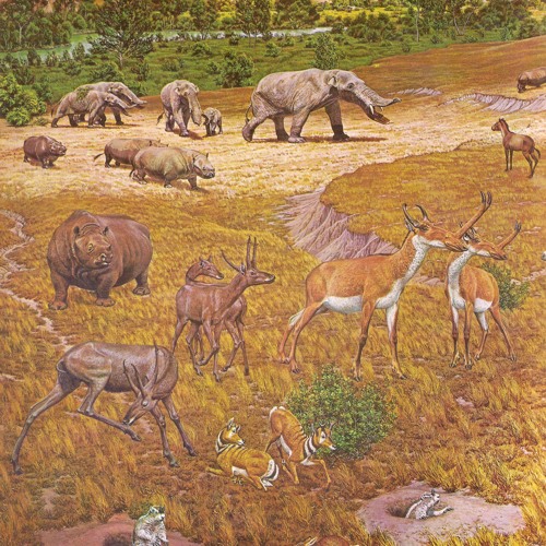 Stream episode The Anthro-Pliocene by Lindsay Mensch podcast | Listen ...
