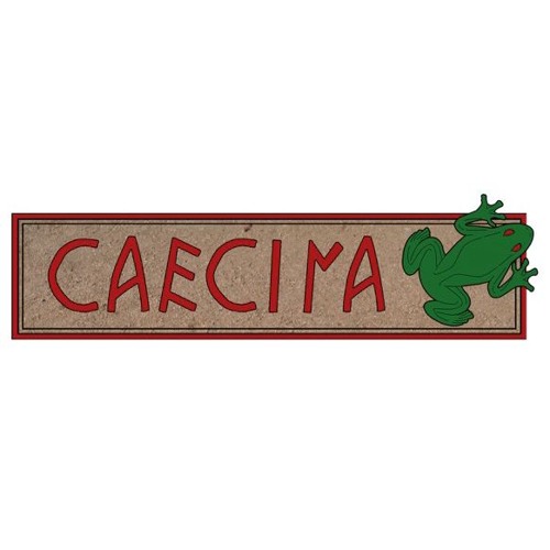 Stream Veronica Cicolani, Giulia Berruto, Eliano Diana, Échanges ...