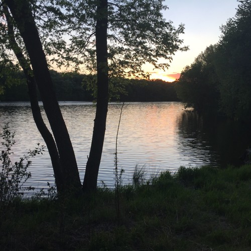 Stream Daydream - David Krusen by David Krusen | Listen online for free ...